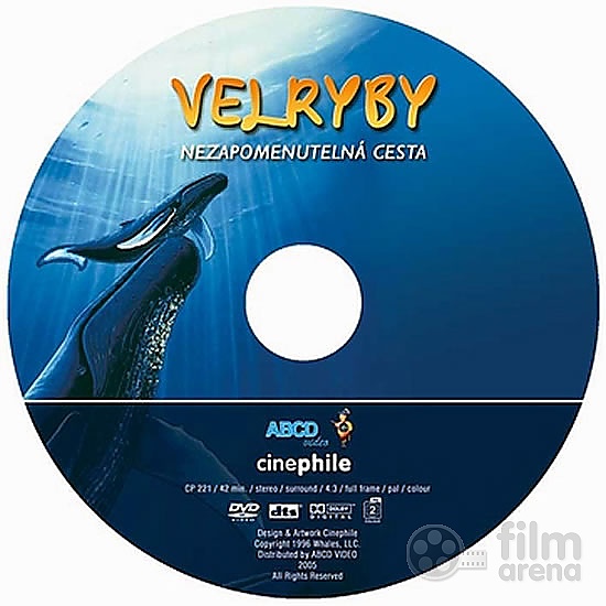 Velryby - DVD (DVD)